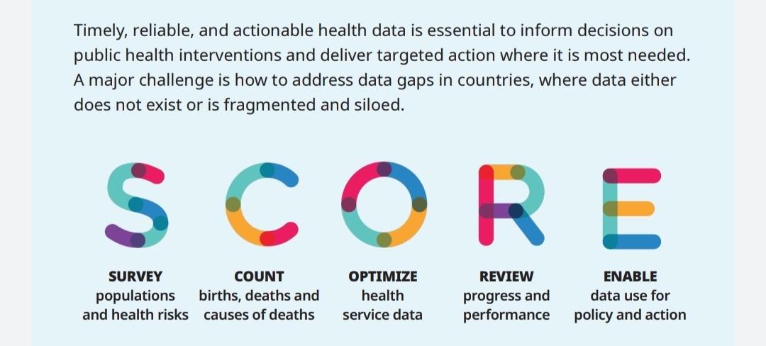 Importance of Data in the African Healthcare System